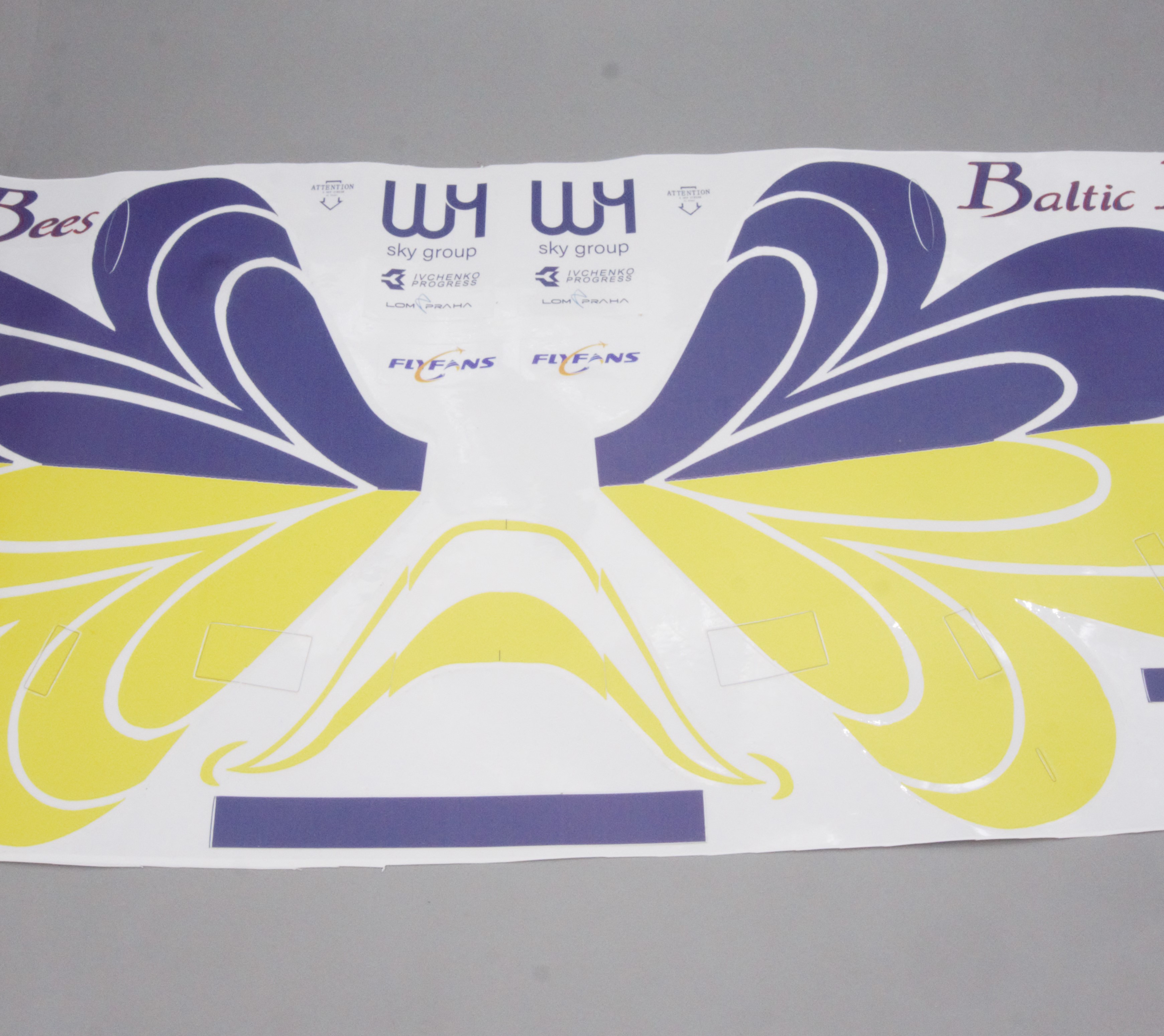 Flyfans L-39 Albatros Baltic Bees 64mm EDF Jet Decal Set