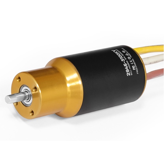 Freewing 2945 3100Kv Inrunner Brushless Motor
