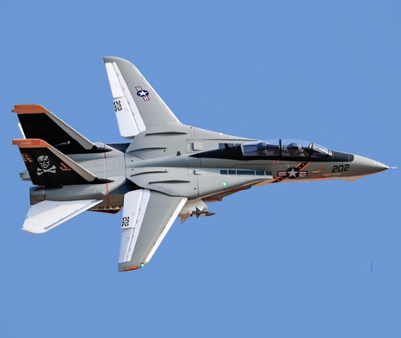 Freewing F-14 Tomcat Twin 64mm EDF Jet PNP Version