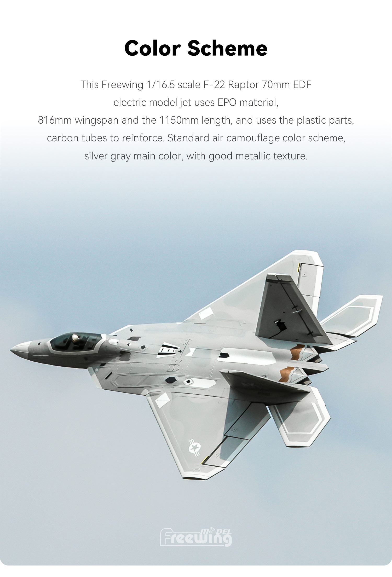 Freewing F-22 Raptor 70mm 12 Blade EDF Jet 6S PNP Version