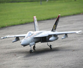 Freewing F-18 90mm EDF Jet